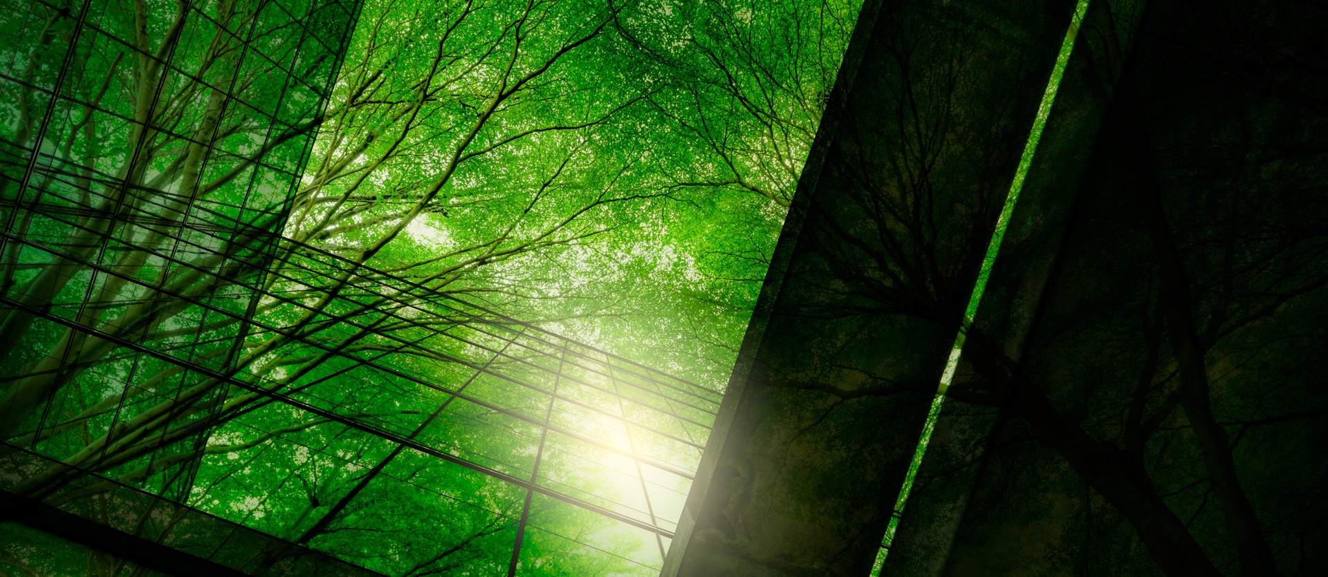 Environmental Sustainability: The Path to a Profitable and Responsible ...